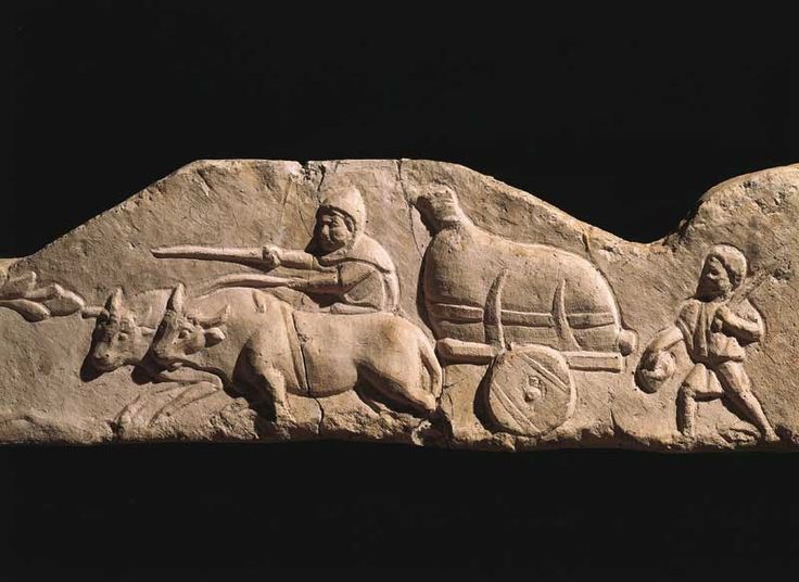 Plostra – Crambe Repetita